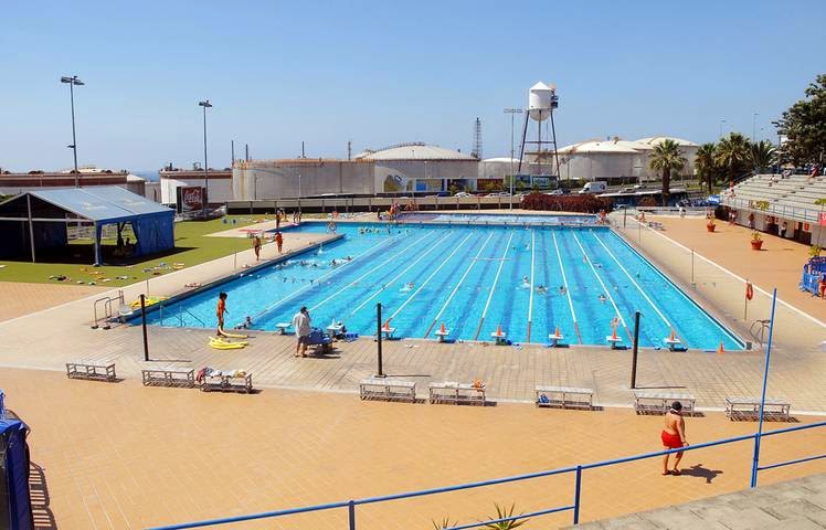 NACION CANARIA: ODALYS PADRÓN: “BERMÚDEZ Y DARIAS MIENTEN CON TOTAL ...