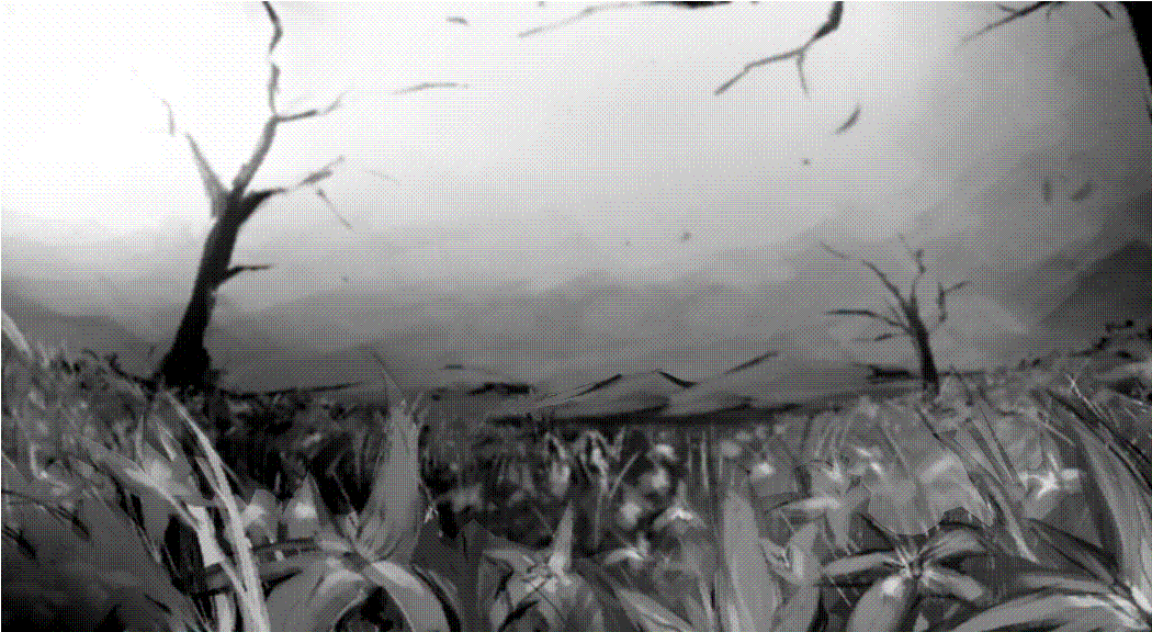 Exploring Animation - Simon Tye: Character and Set Design