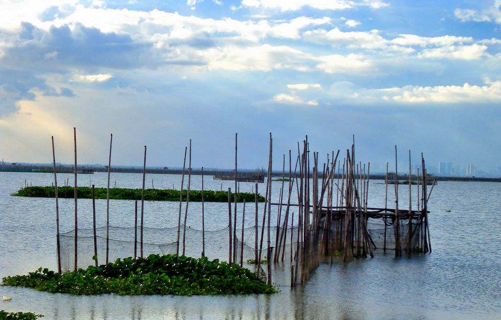 Methods of Catching Fish in Balayan, Batangas in 1916 - Batangas ...