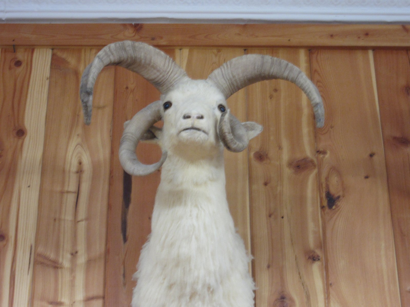 The Burnt Selena Project: Wonderful World of Clutter: Today in Awkward ...