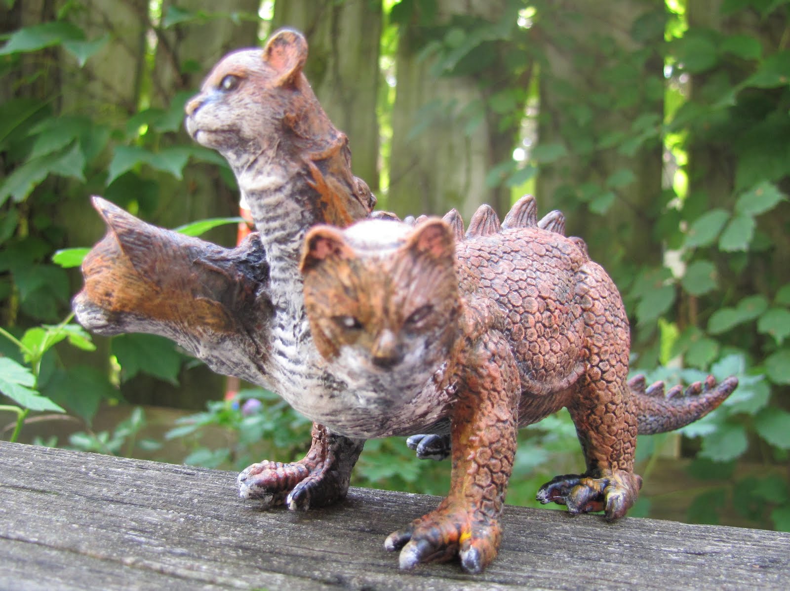 ANY HOW TOWN: Three Headed Kitten and Friend