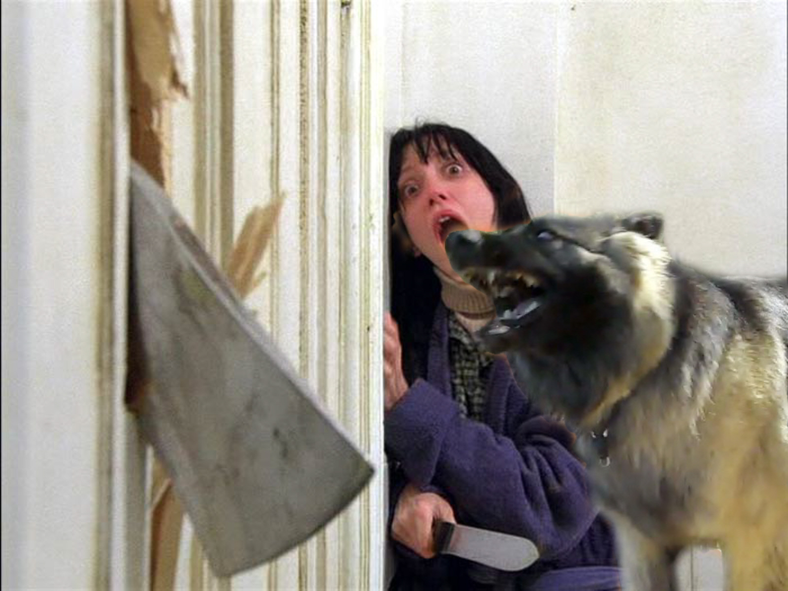 Cooper's Shiloh Shepherd Blog: Famous Movies - featuring ISSR Shiloh ...