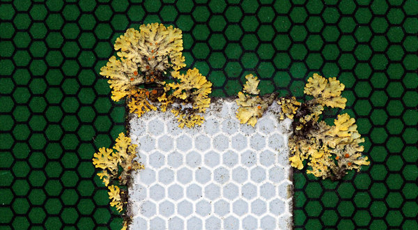 Art & Photography: Patrick Keiller - Tate Britain