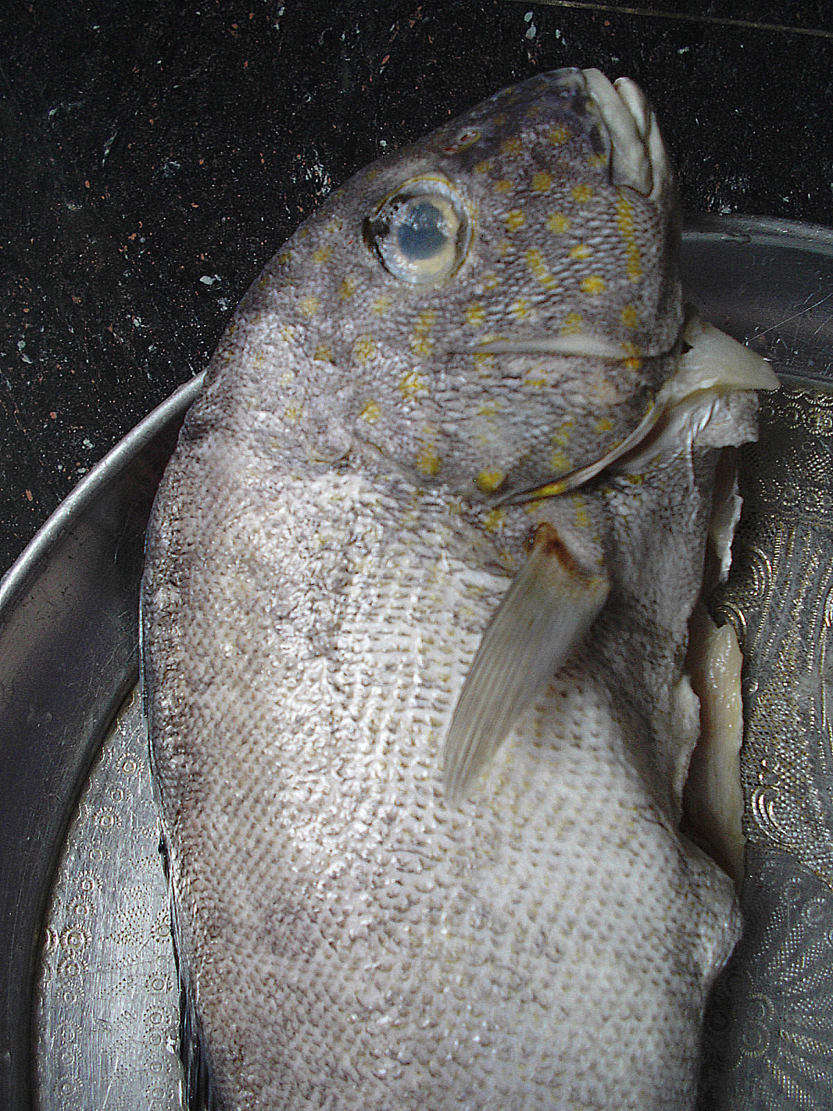 IKAN MANDI ABU MASAM MANIS