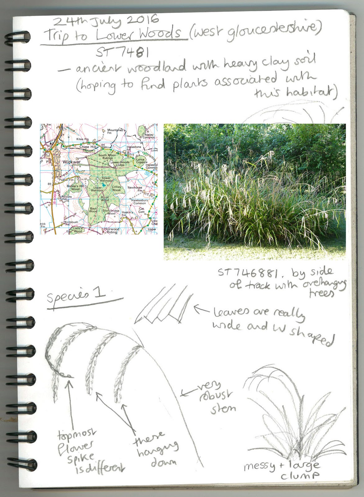 Taxonomic Collections: Some tips for your field diary