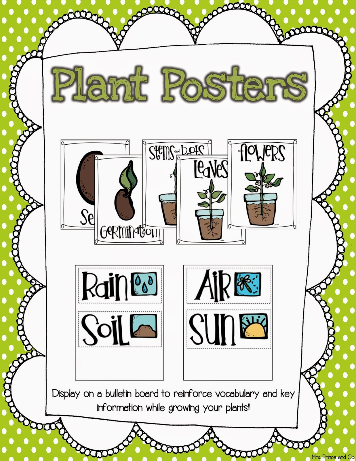 Mrs. Prince and Co.: My Favorite Science Unit