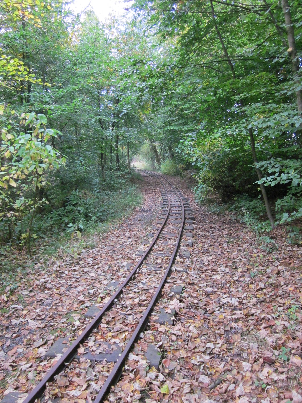 Narrow Gauge Railways UK: Haigh Hall Miniature Railway