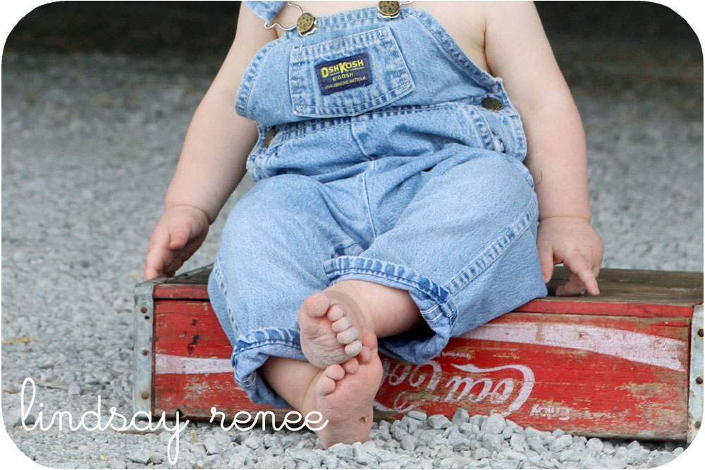 Lindsay Renee Photography