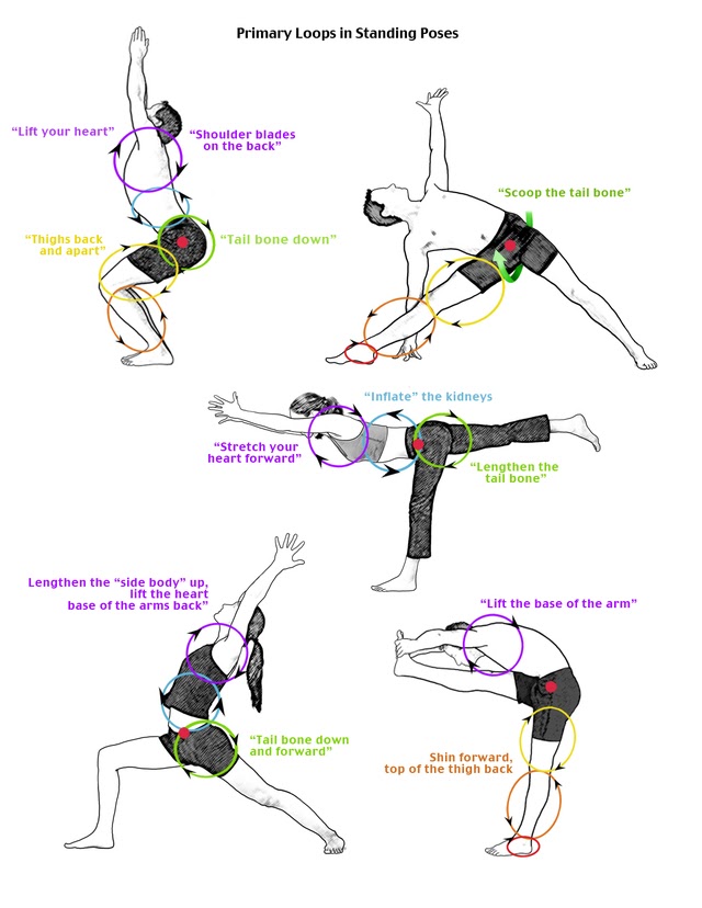 Infinite Lila: Focal Points & Energy Loops