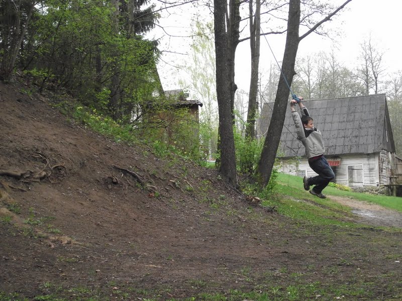 Eglės namučiai: Cibulynė