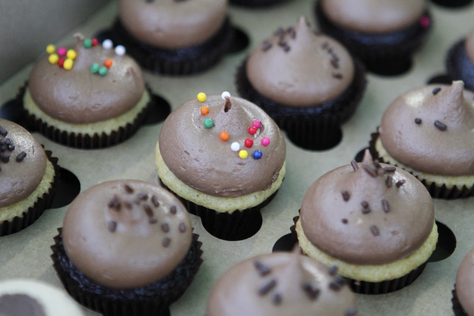 Farnsworths: Shuffleboard