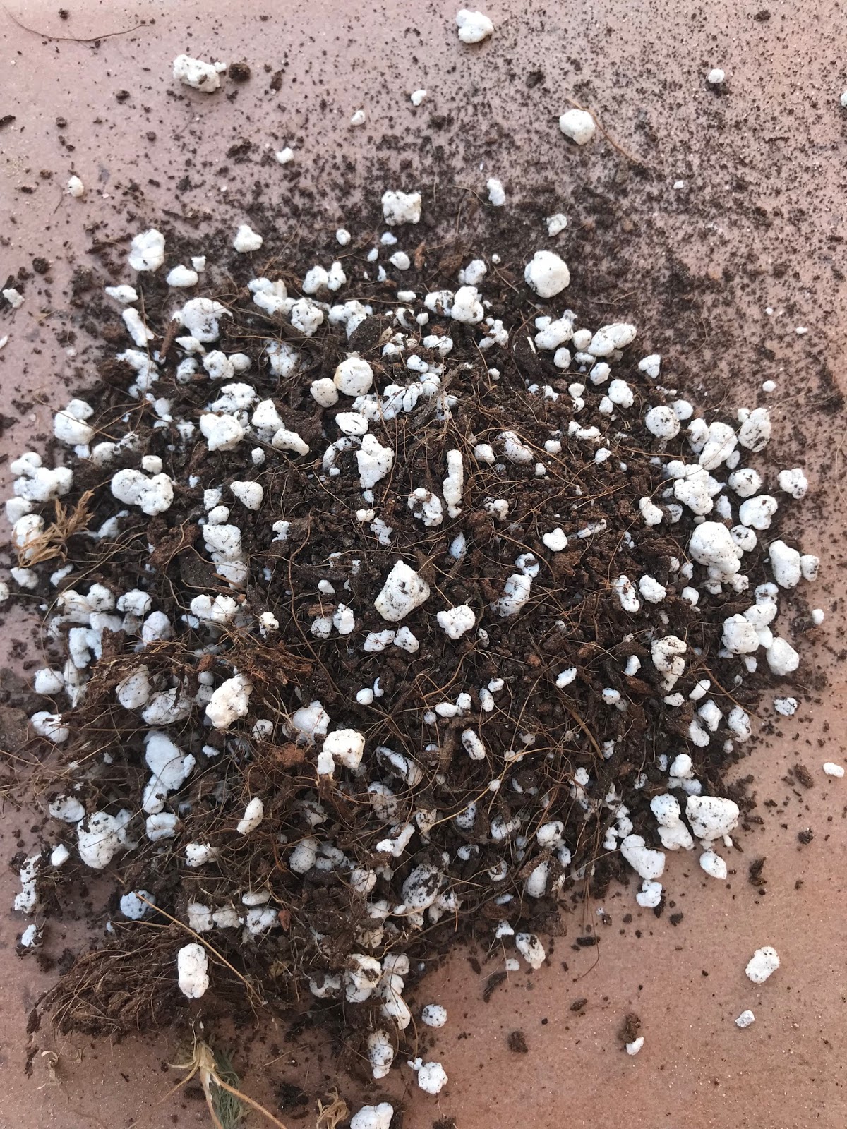 My Little Garden in Dubai: The Soil Matters - basic soil mix recipe