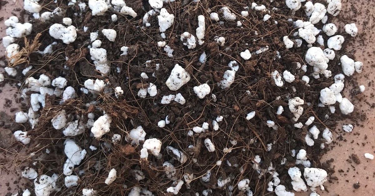 My Little Garden in Dubai: The Soil Matters - basic soil mix recipe