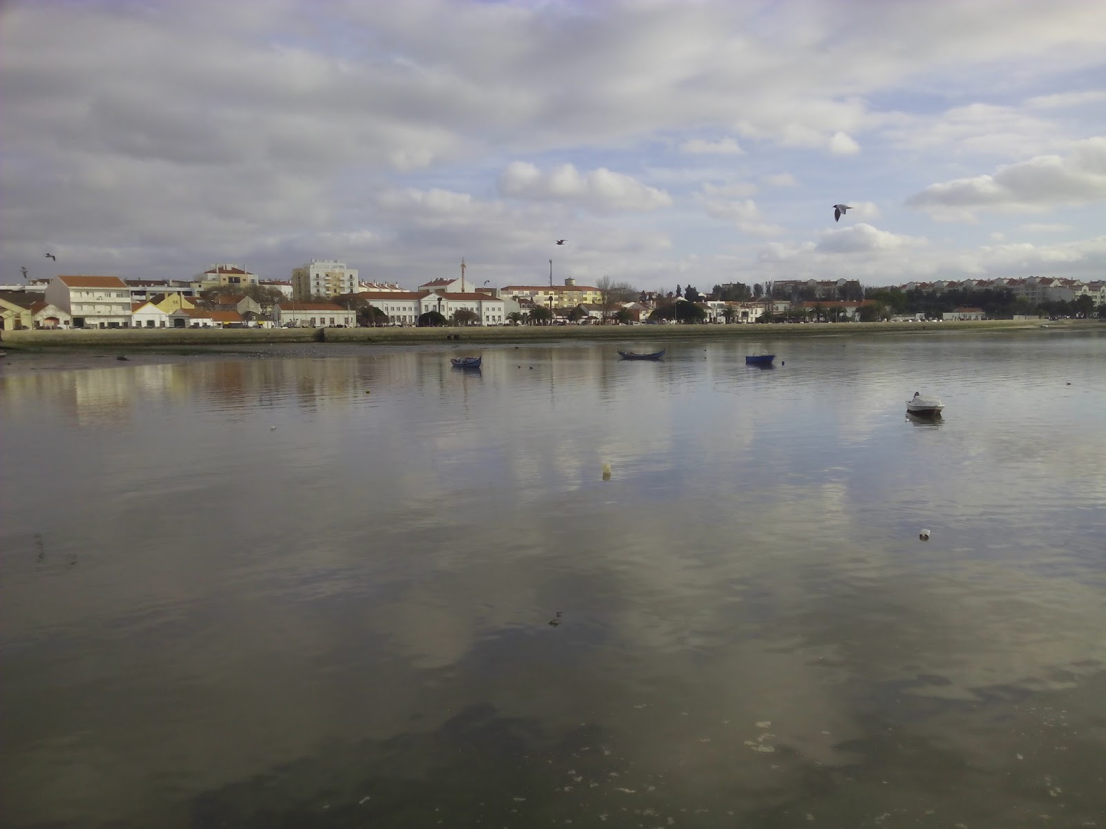 De Manta no Sofá: Lugares: Samouco, salinas de Samouco e praias de ...