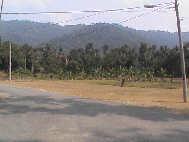 Azram Sulong: pusat pembangunan modal insan kampung budu, pahang