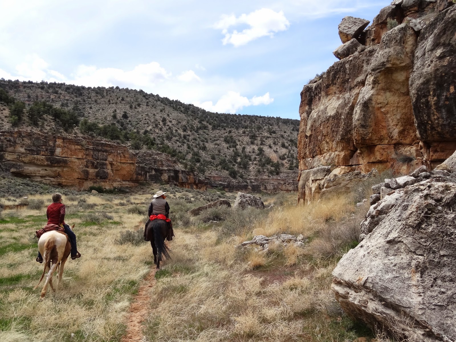 Dream Packer Trail Adventures: Snake Gulch, Arizona