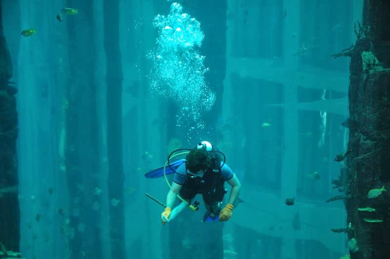 World's Largest Cylindrical Aquarium in Berlin, Germany