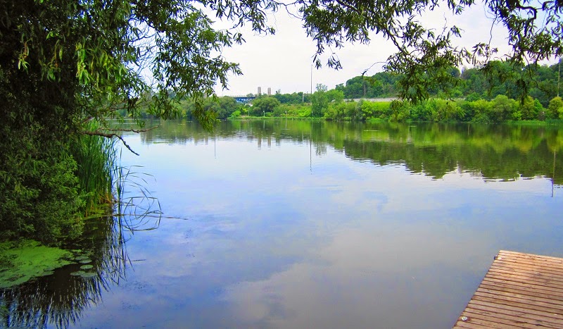 Líneas y Manchas: En Princess Point, Hamilton, ON, Canadá