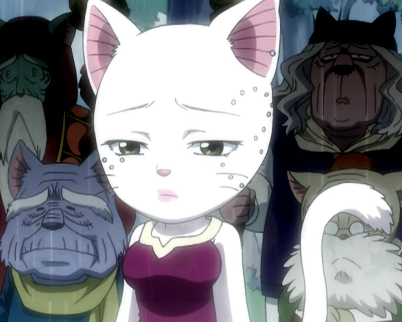Universo Animangá: Os Exceed de Fairy Tail