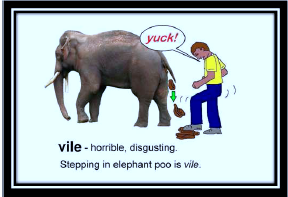 Vocabulary Bites (Part - 28) : Learn New Words Quickly | Bank Exams Today