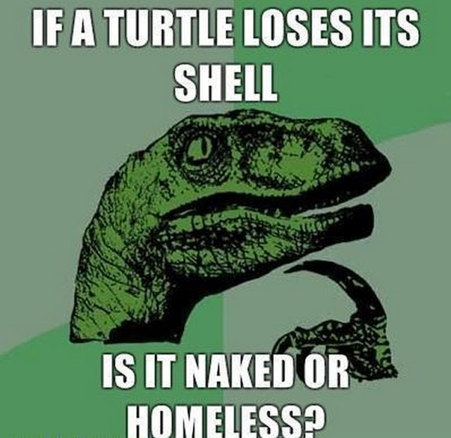 Chuck's Fun Page 2: Five funny images WITH captions