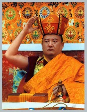 Recognitions and Congratulations - From H.E. GOSHIR GYALTSAB RINPOCHE