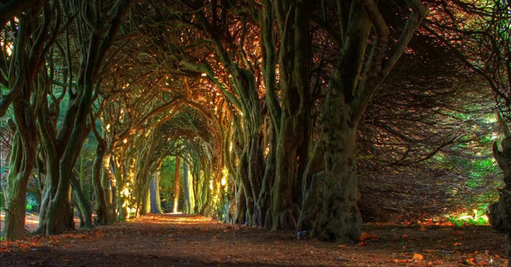 lugares fantasticos: introducción