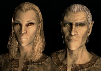 Altmer - High Elf | Elder Scrolls V: Skyrim fansite