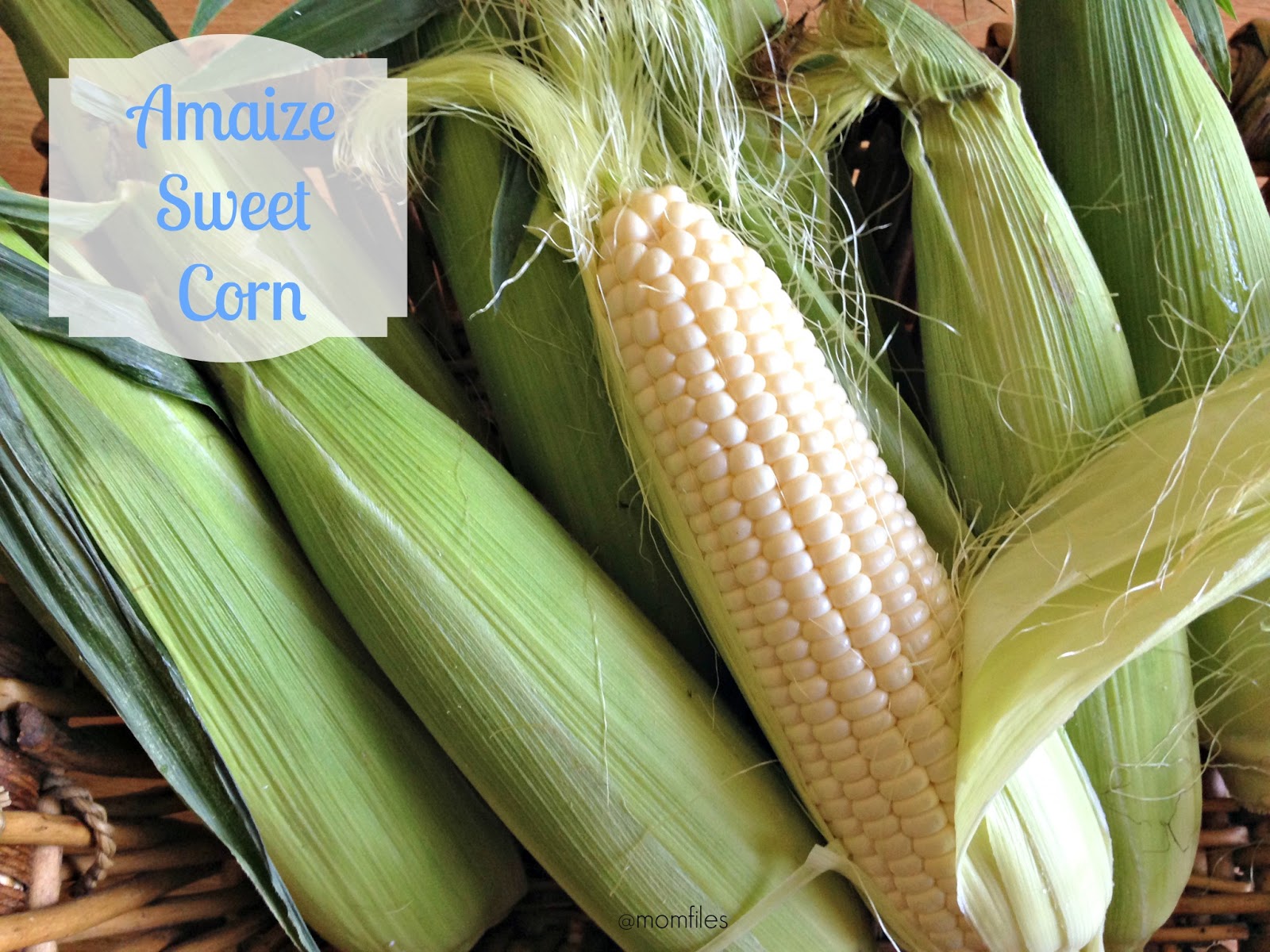 Amaize Sweet Corn- Truly The Best Corn Ever! | Mom Files