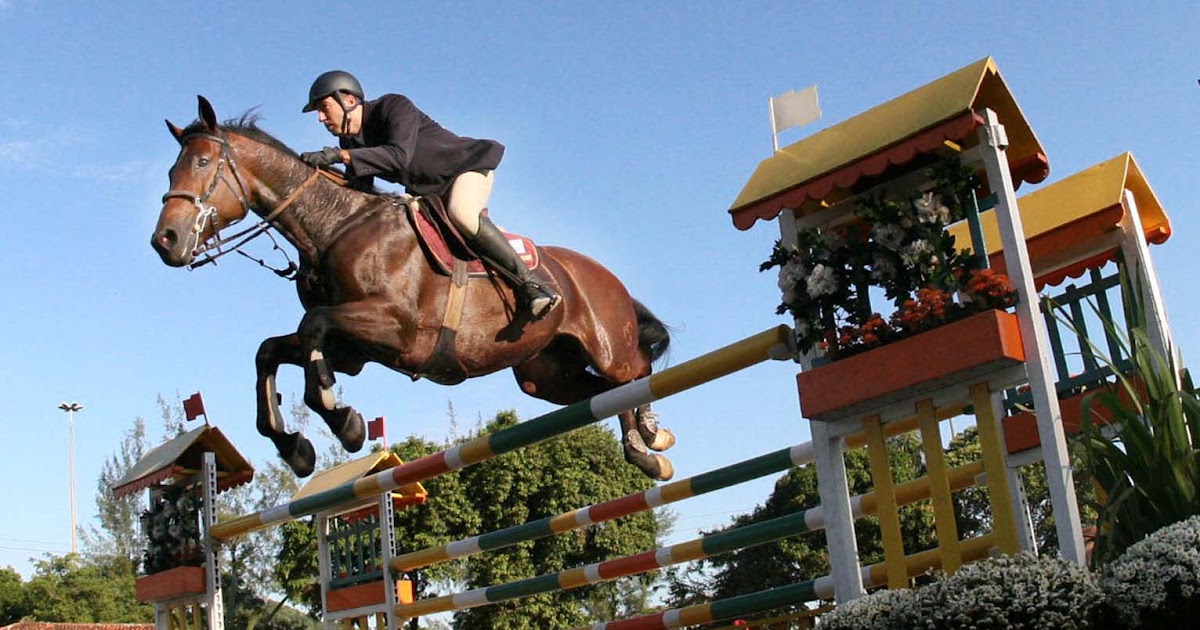 Esporte pelo Juva: Conheça a modalidade - Hipismo