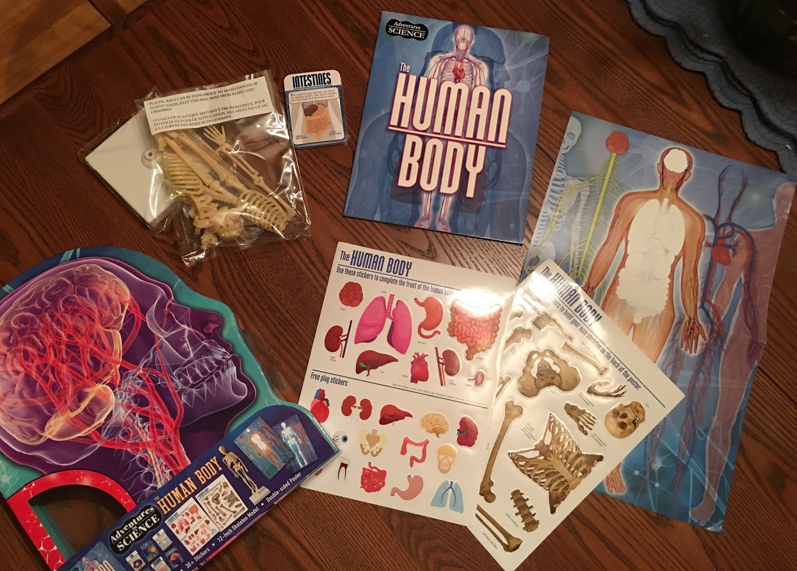 Chat with Vera: Adventures in Science: The Human Body [Review ...