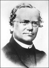 The Mermaid's Tale: More on Mendel