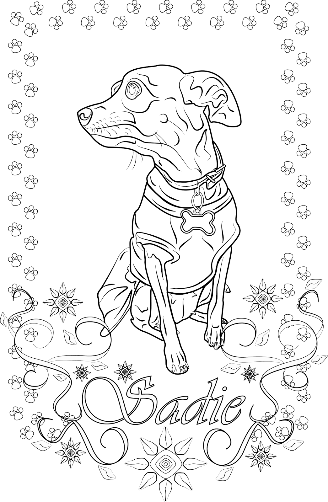 Sadie's coloring book