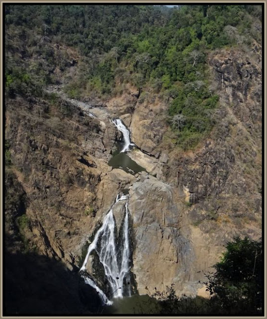The Voice of Greenery - Trekking and Travelling in Western Ghats ...