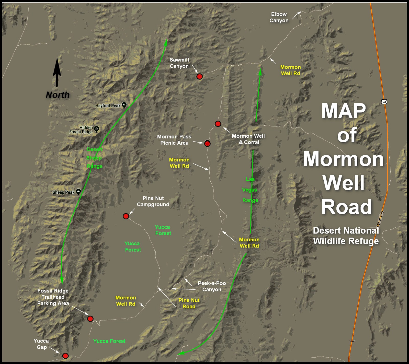 Ken's Photo Gallery: Mormon Well Road - DNWR