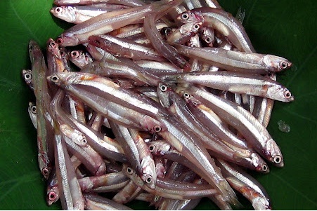 Kerala famous Netholi fry Recipe - Try at Home