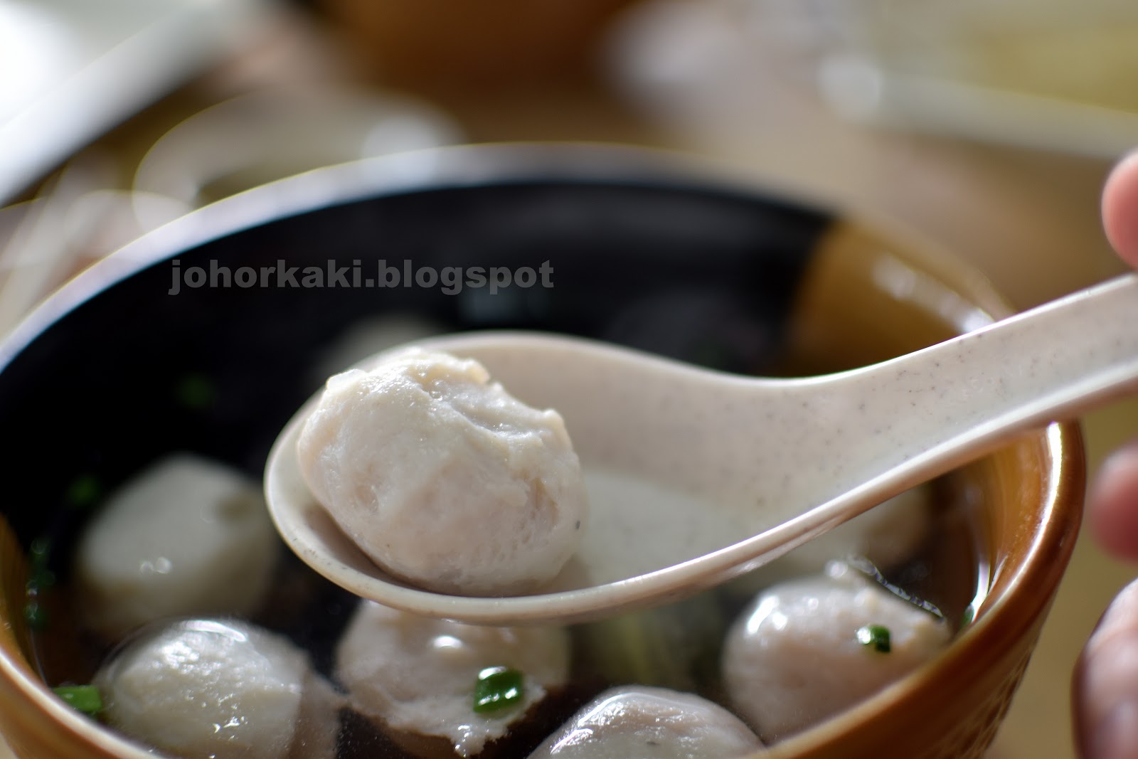 Yong Peng Fish Balls at Bebola Ikan Anthony |Tony Johor Kaki Travels ...