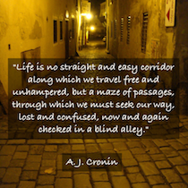Life is no straight and easy corridor along which we travel free and ...