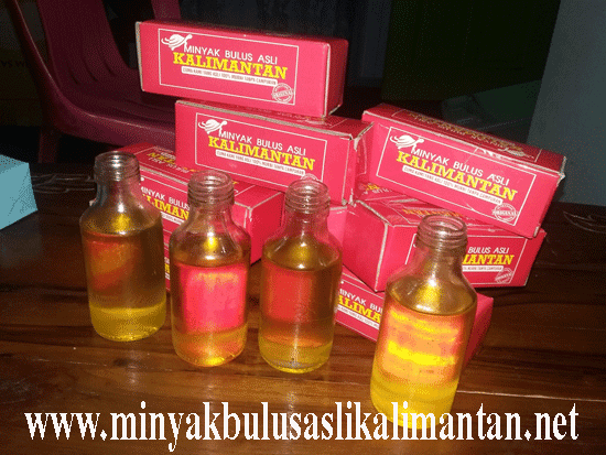 Keajaiban Khasiat Dan Manfaat Minyak Bulus Pada Kesehatan