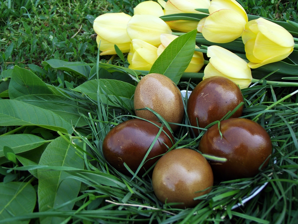 Cum vopsim ouale in mod natural? - CAIETUL CU RETETE