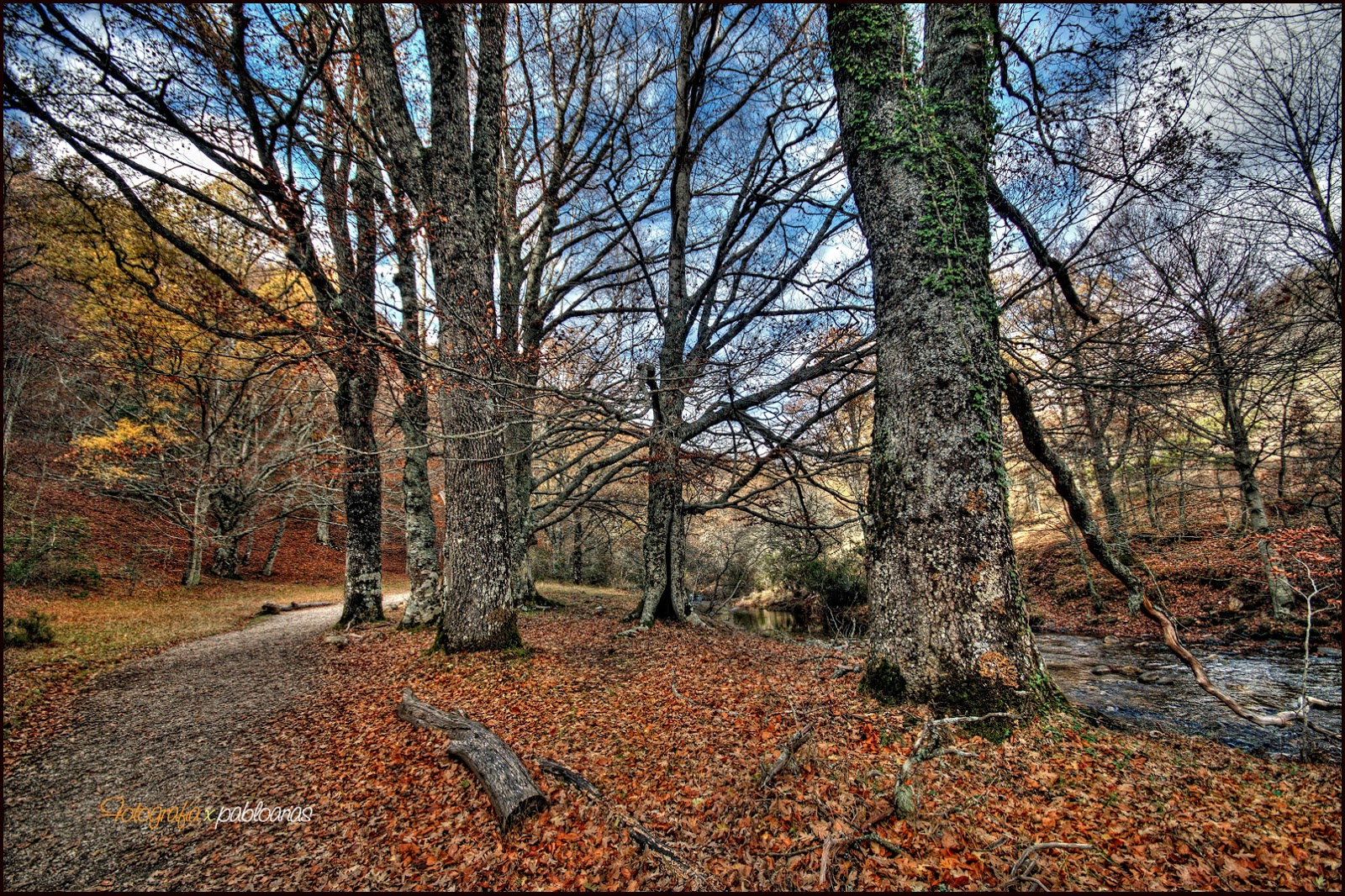 Un valle llamado Madrid: El Hayedo de Montejo