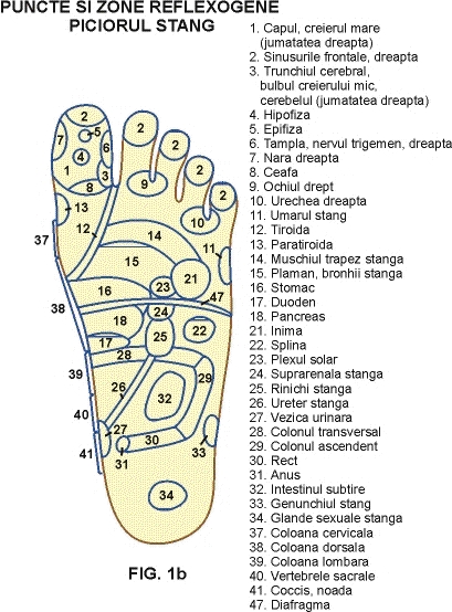 Medicina Naturista: Cura de Slabire cu Presopunctura