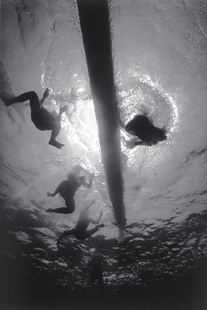 *inspire: wayne levin [photographer]