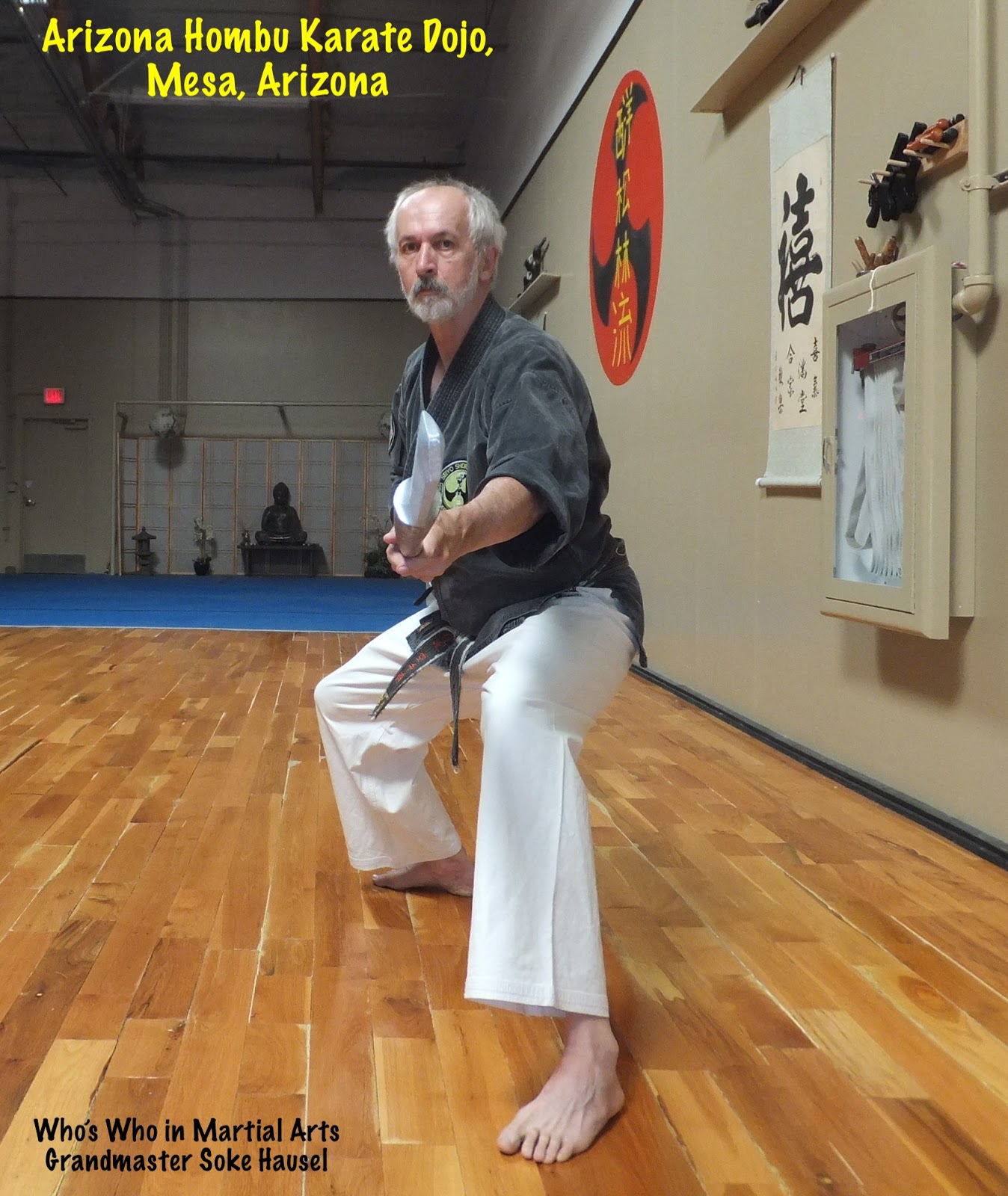 MESA KARATE, ARIZONA: Who's Who in Martial Arts | Arizona's Shorin-Ryu ...