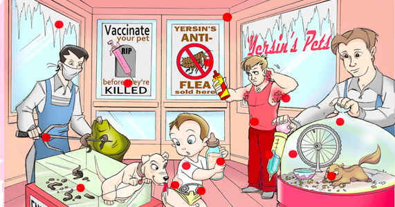 Medical Outlines: Yersinia pestis and Yersinia enterocolitica