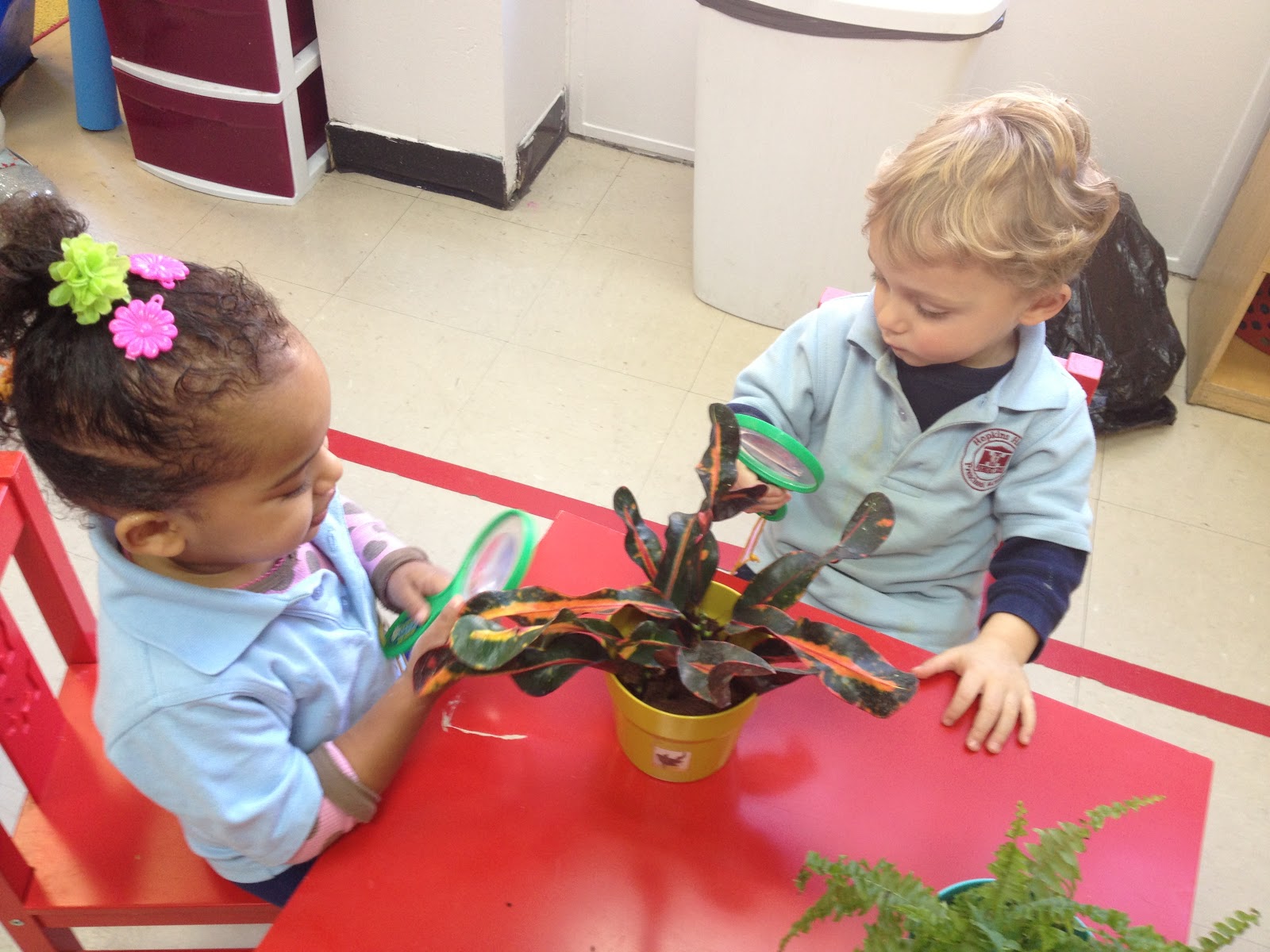 HH Preschool Class Reflections: Science: Exploring Plants