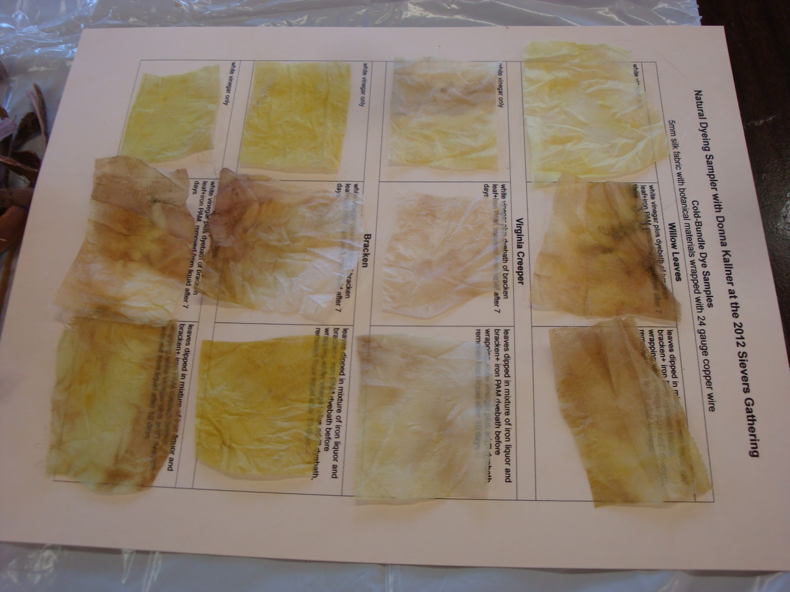 Two Red Threads: Harvesting Color -- Bracken