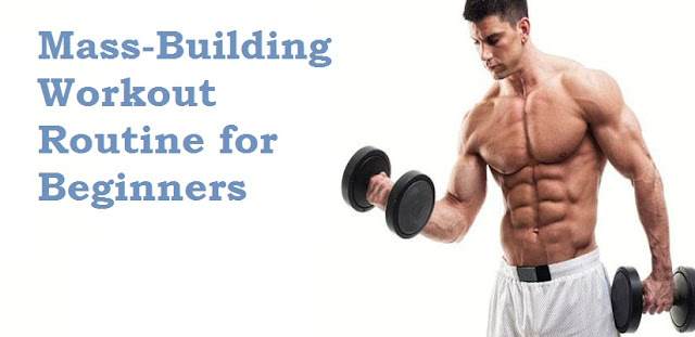 Muscle Palace: Workout for Muscle Growth - Build Muscle Mass Fast