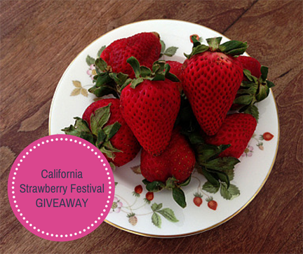 MOMMY BLOG EXPERT: California Strawberry Festival May 16-17 Affordable ...