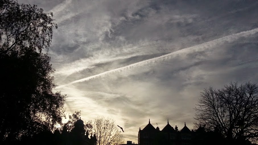 Shiina's Asymmetric World: Nut rage case in Korean Air